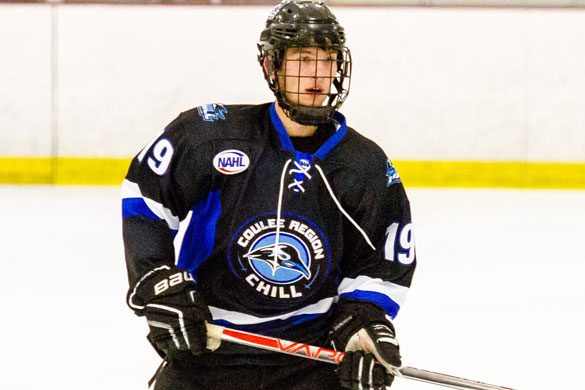 Coulee Region forward Dineen makes NCAA DI commitment | North American ...