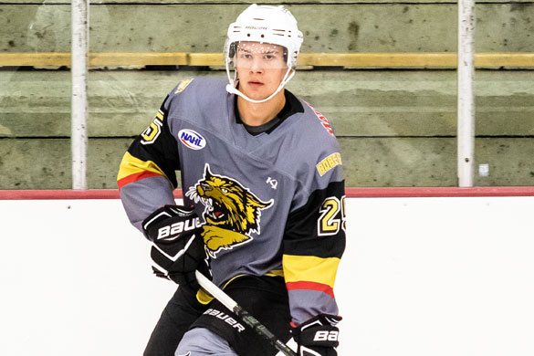 Bismarck forward Stacho makes NCAA DI commitment | North American ...